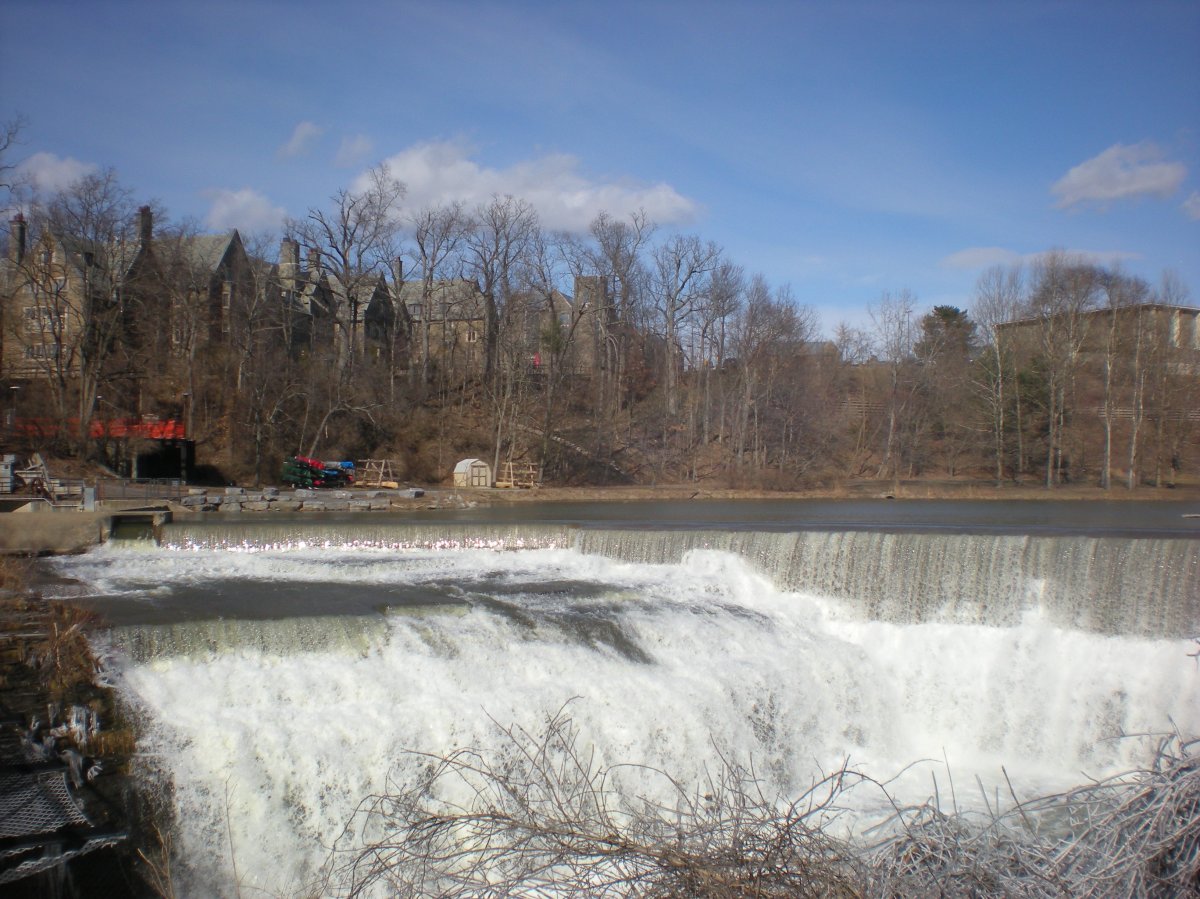 Transience and Beauty of Beebe Lake – HELEN TREJO